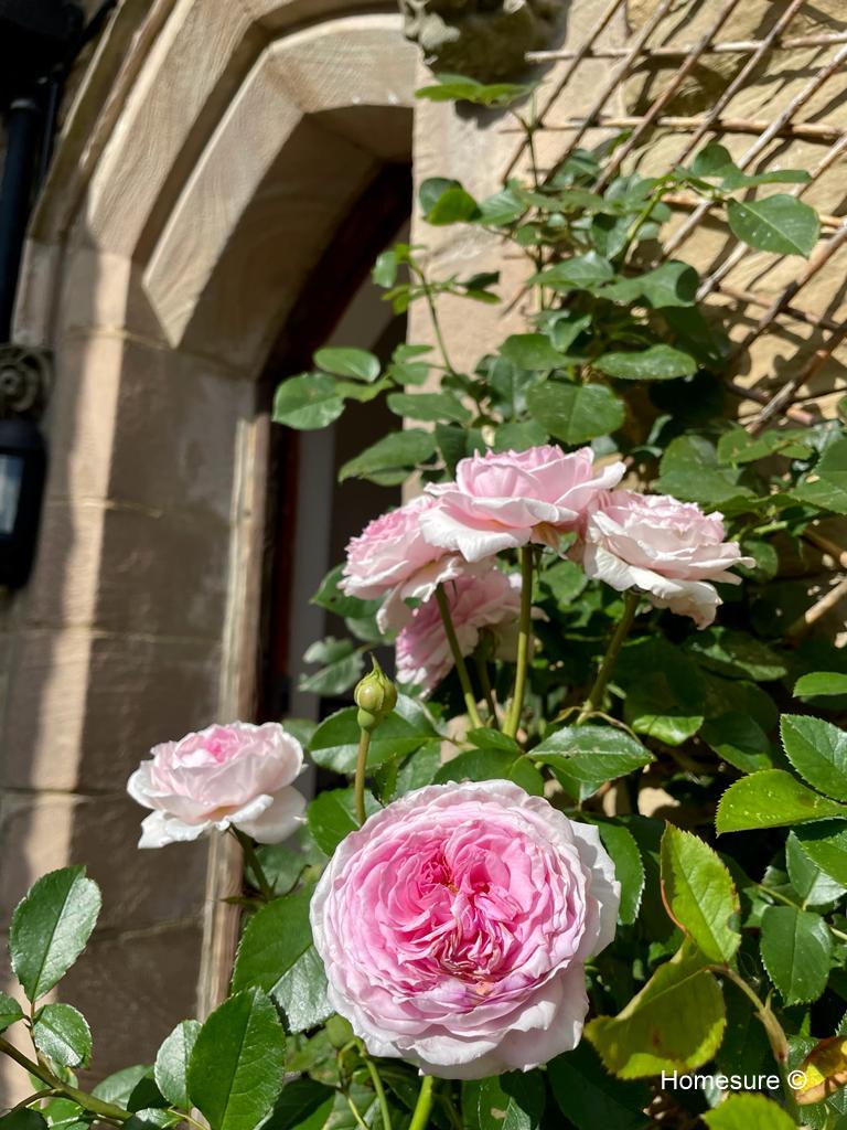 Admiral Street, Liverpool, L8 | Street