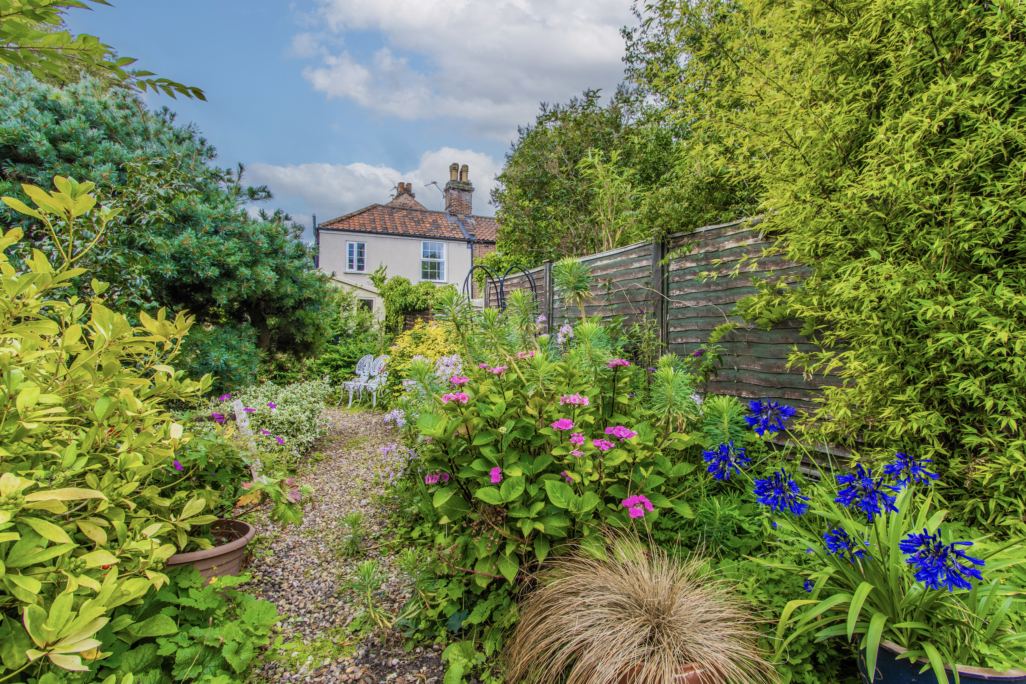 Bracondale, Norwich | Street