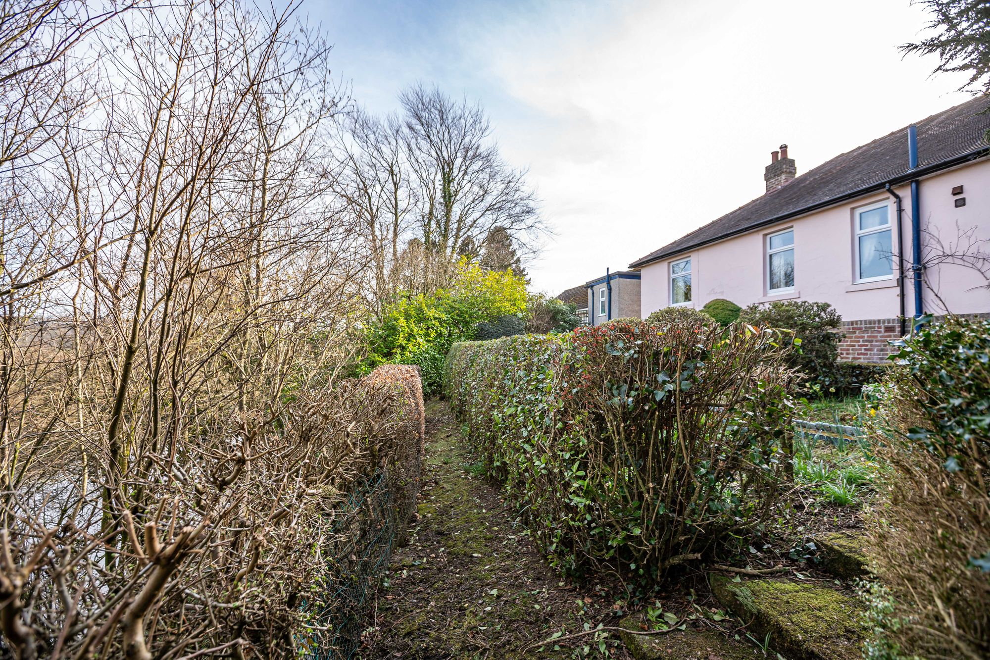 Langarth, Canonbie, DG14 0TE | C&D Rural