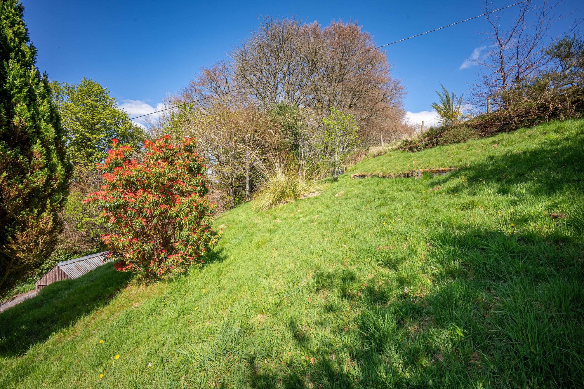 2 Carronbank Cottage Carronbank, Carronbridge, Thornhill, DG3 5AX | C&D ...