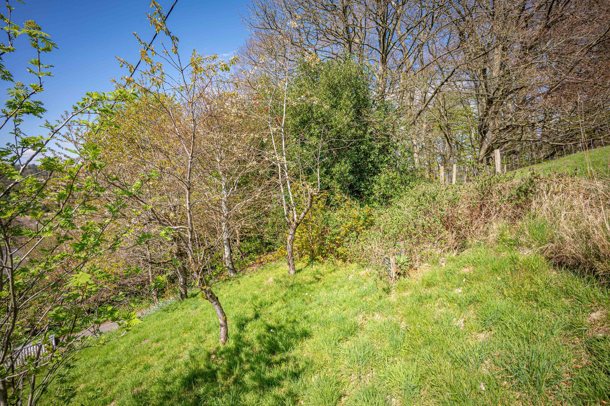 2 Carronbank Cottage Carronbank, Carronbridge, Thornhill, DG3 5AX | C&D ...